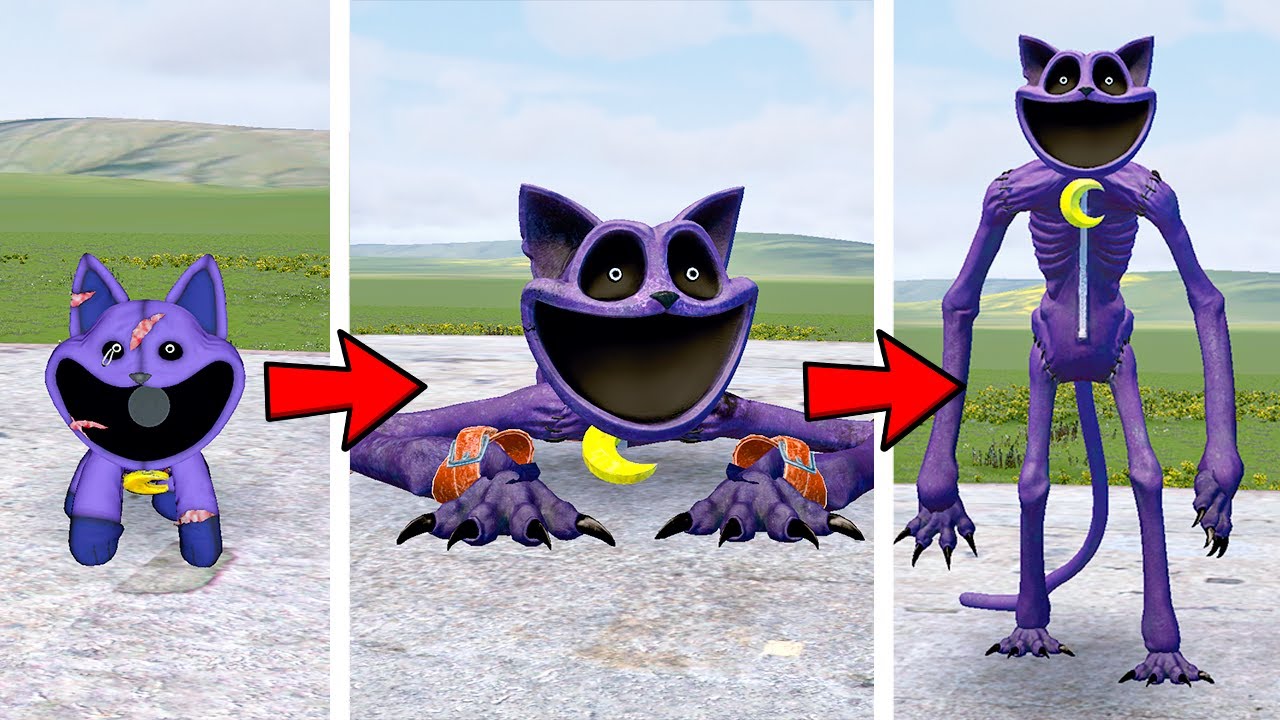 EVOLUTION OF NEW CATNAP! CATNAP BUT HE WALKS ON HIS 2 LEGS?! POPPY ...