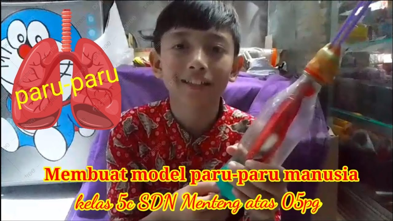 membuat model paru-paru manusia kelas 5 - YouTube