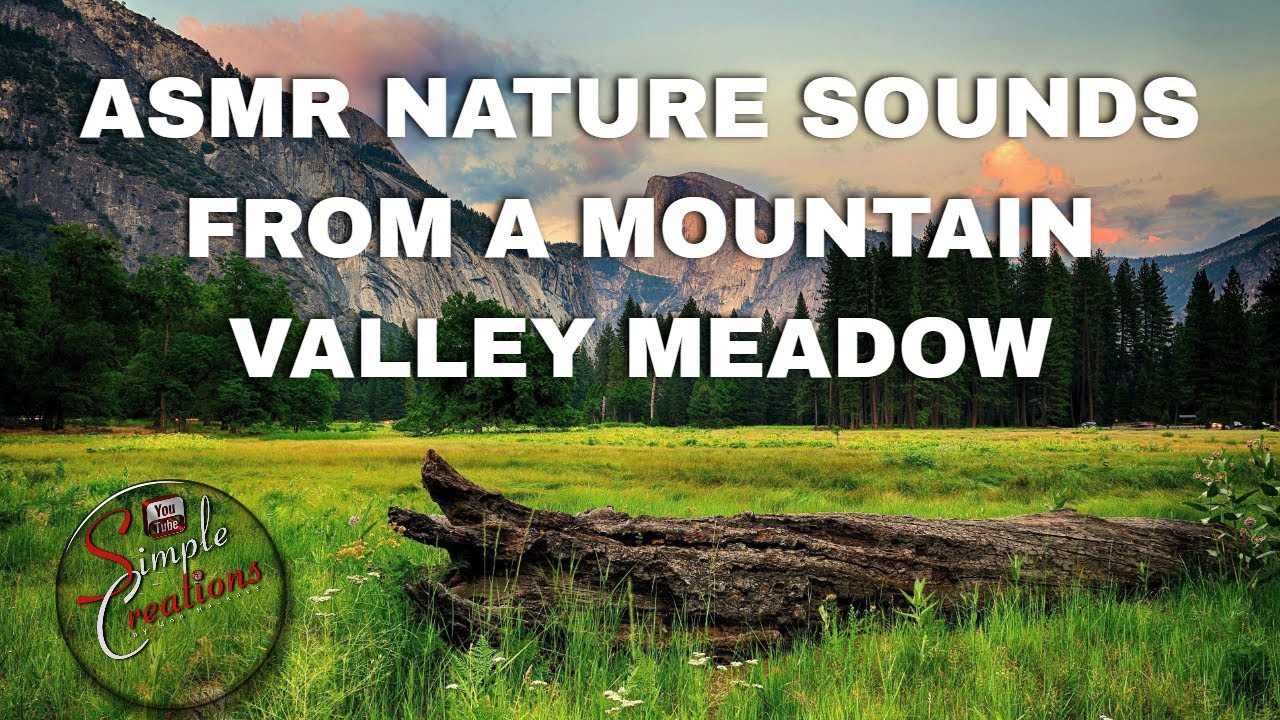 RELAXING ASMR NATURE SOUNDS IN A MOUNTAIN VALLEY MEADOW - YouTube