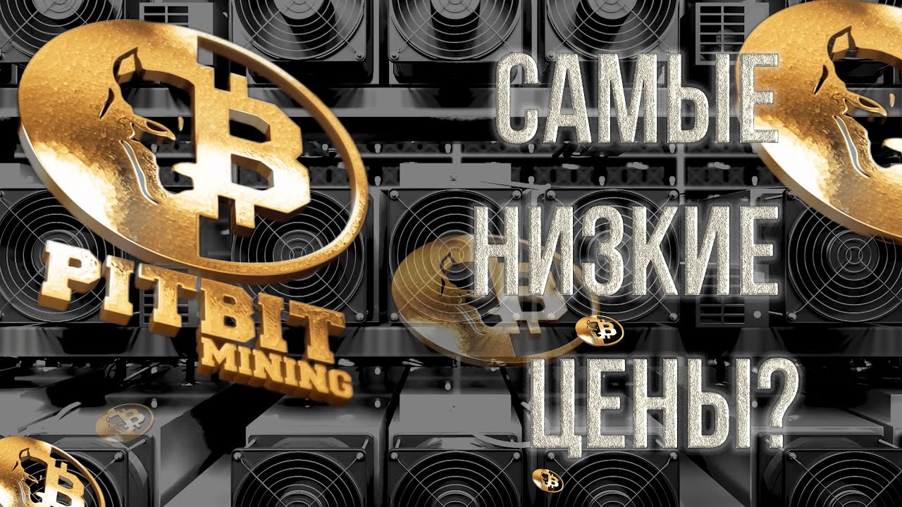 Спорим, ты знаешь кто мы такие! Майнеры, цены, рабочий процесс. Добро пожаловать в PitBit Mining ...