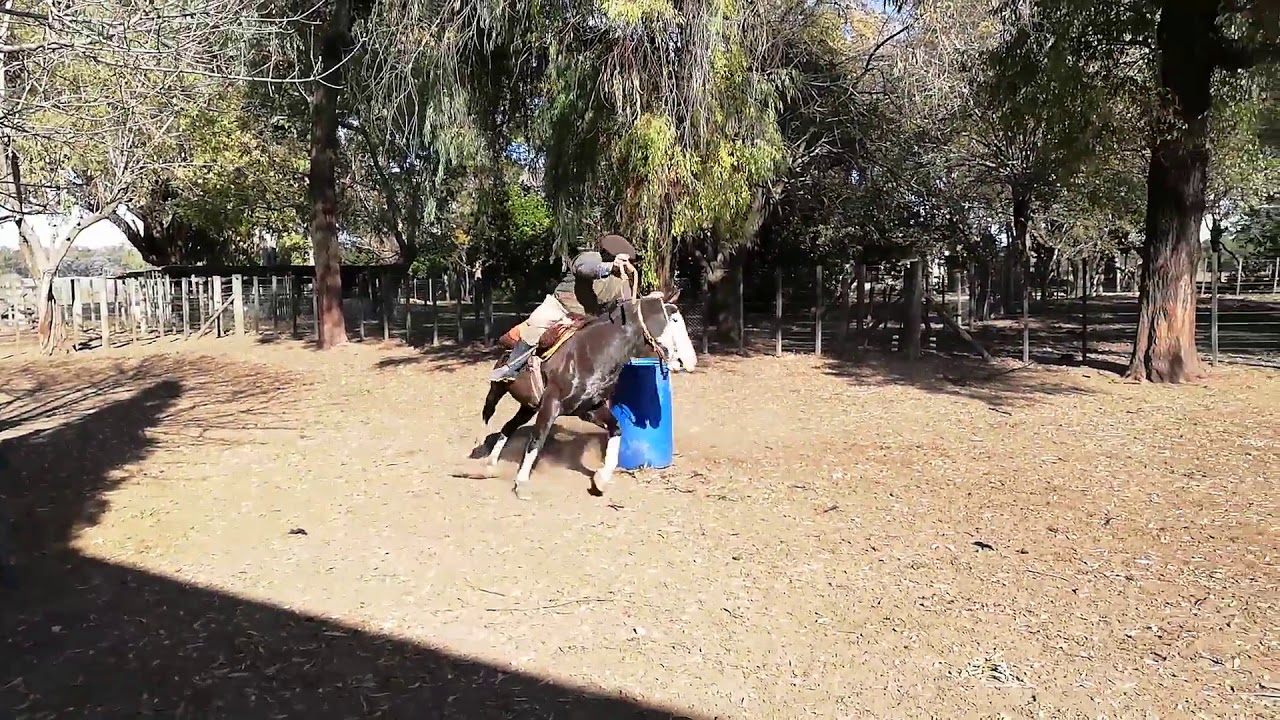 Caballo moro - YouTube