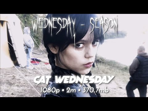 Wednesday Cat Scene Pack - YouTube