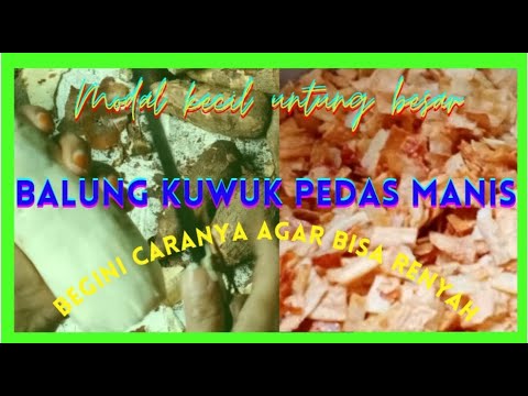 balung kuwuk pedas manis menjadi usaha rumahan dan ide bisnis yang ...
