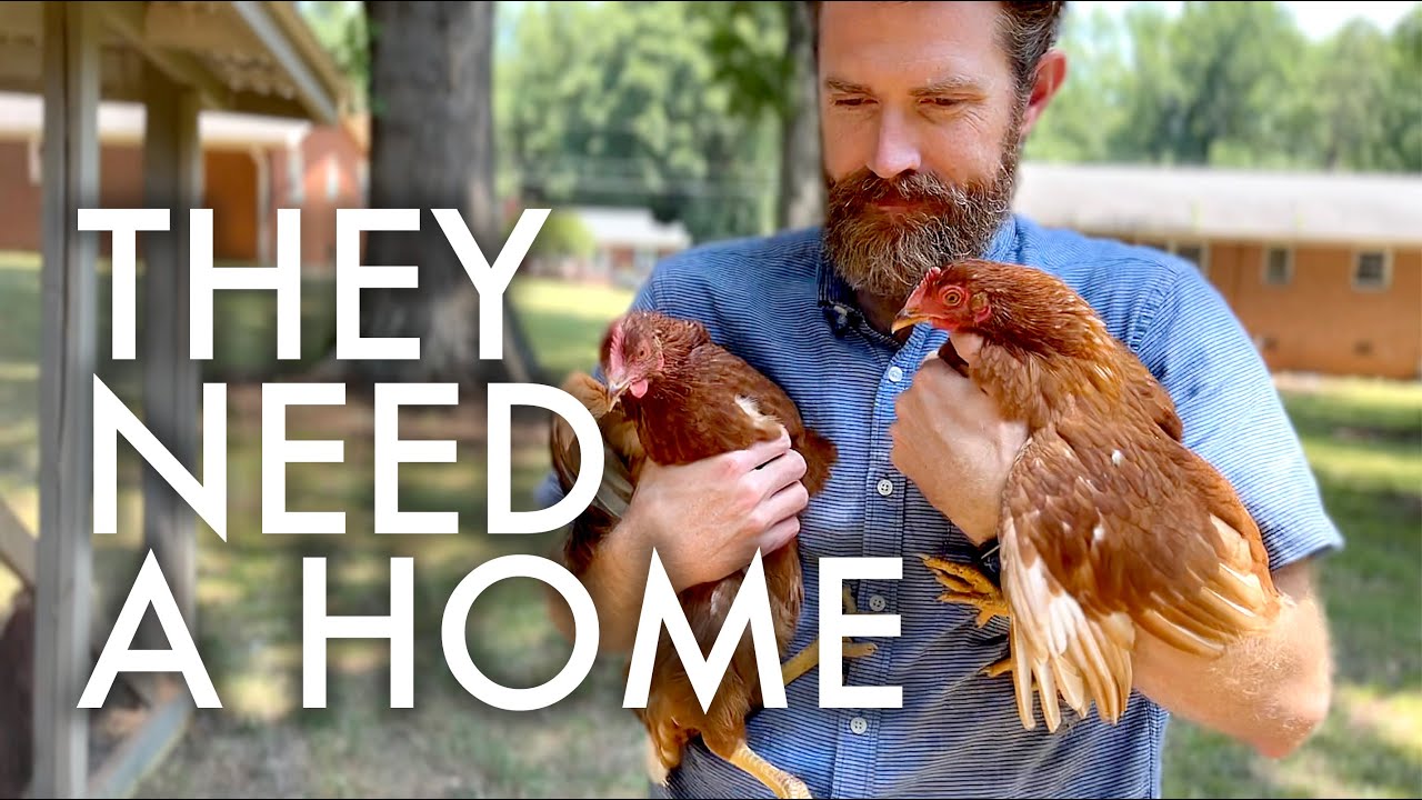 Home | knorppandsouth