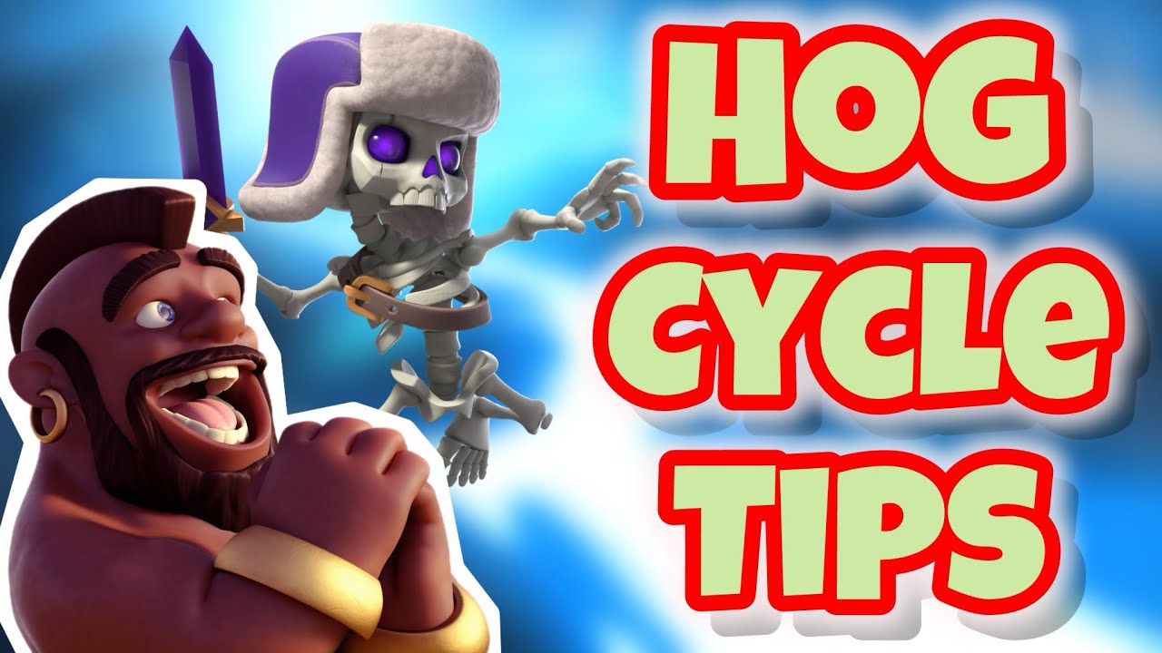 2.6 Hog Cycle Tips🤩 - YouTube