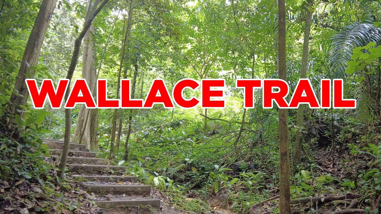 Wallace Trail || Walking Singapore - YouTube