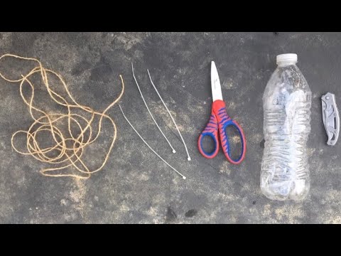 How to build DIY fish trap out of water bottle(catch included)#fishing - YouTube