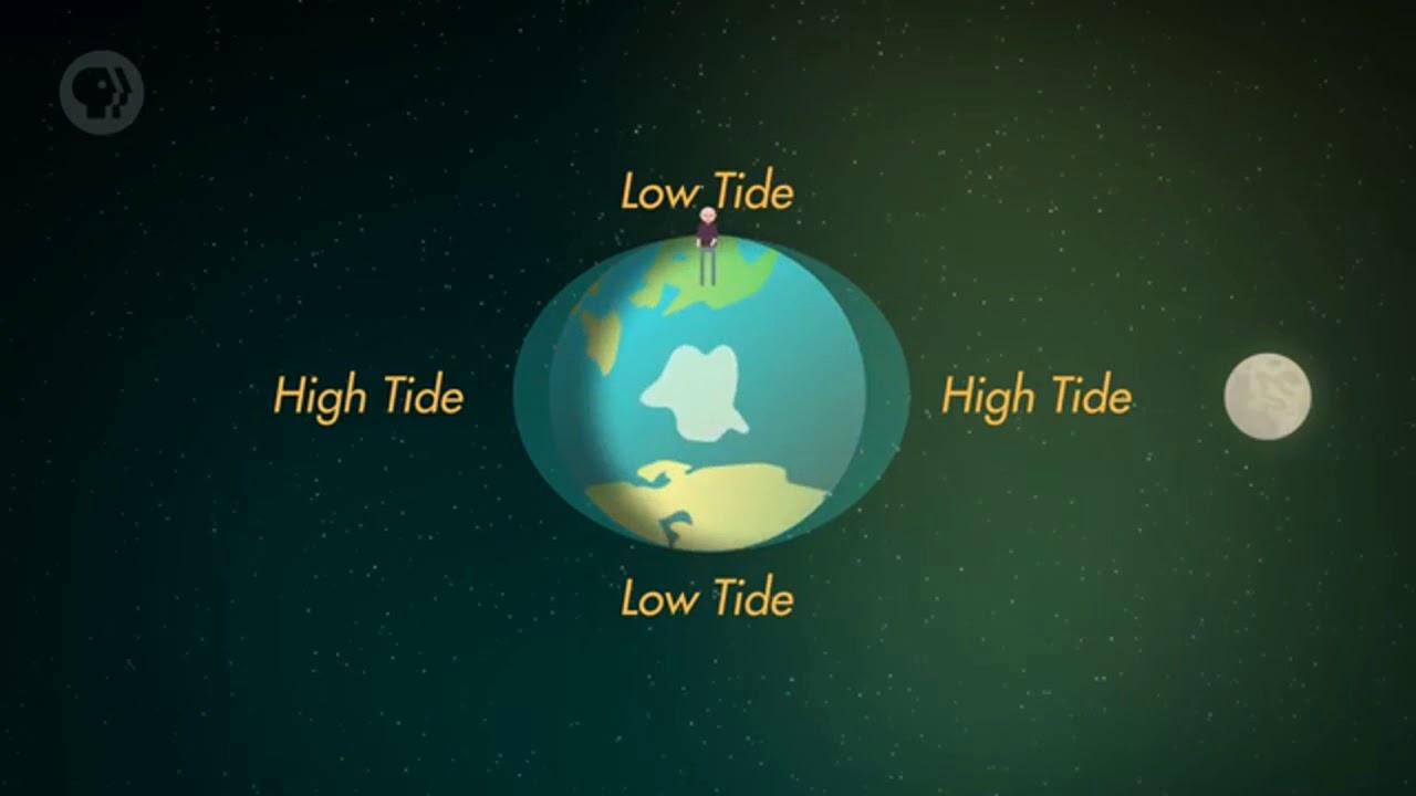 The Movement of the Tides - YouTube