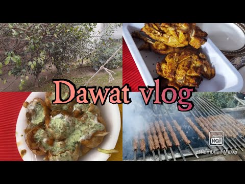 Mini Dawat vlog | safa jamil vlogs - YouTube