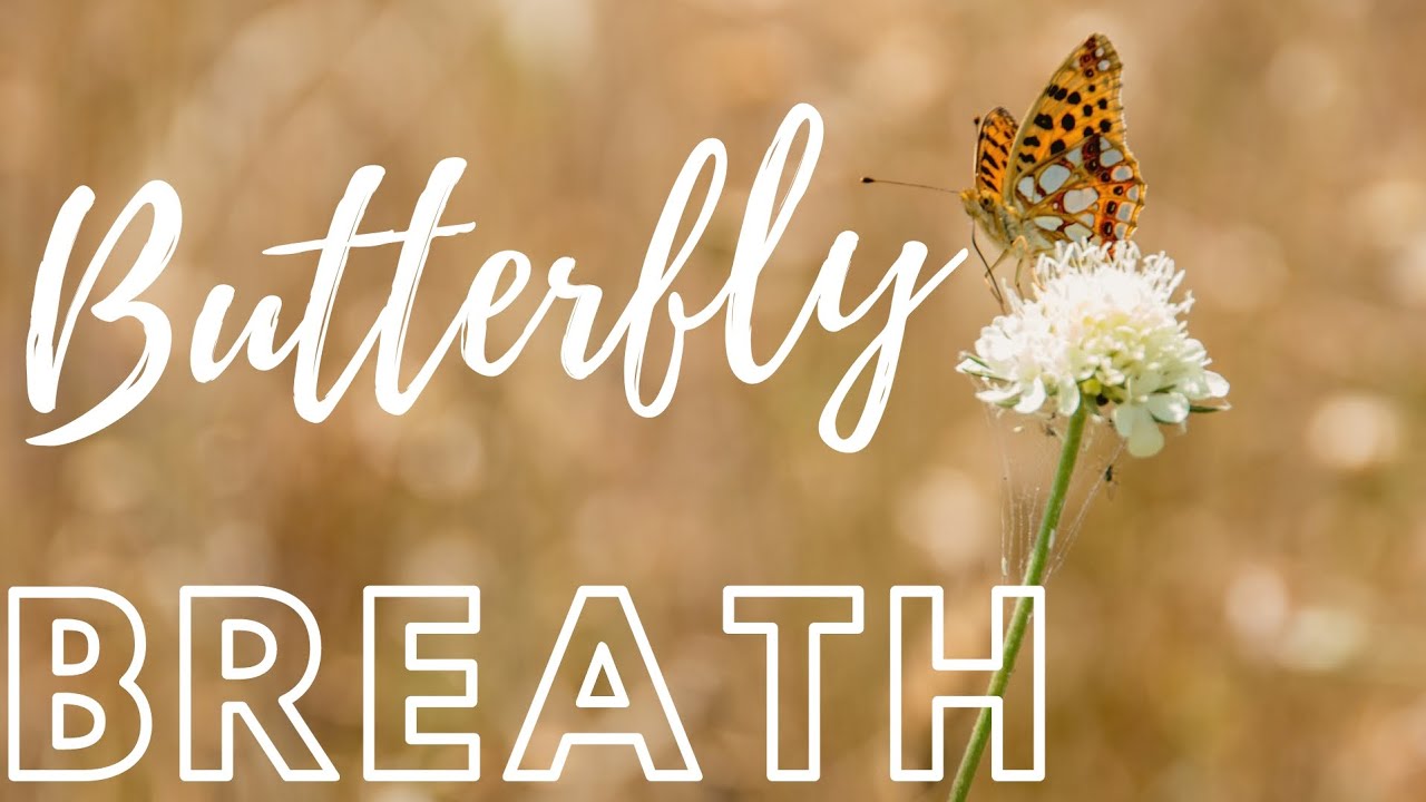 Breath Practice 9 - Butterfly Breath - YouTube