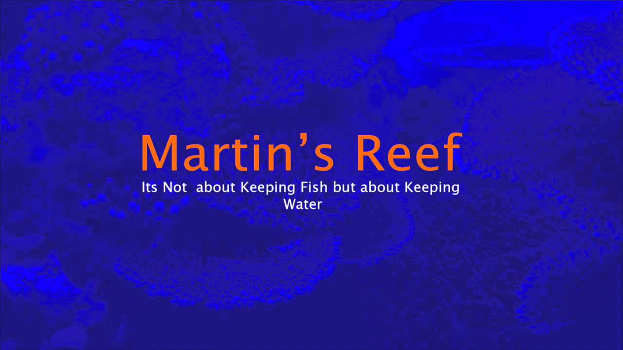 Utube Martin's Reef - YouTube