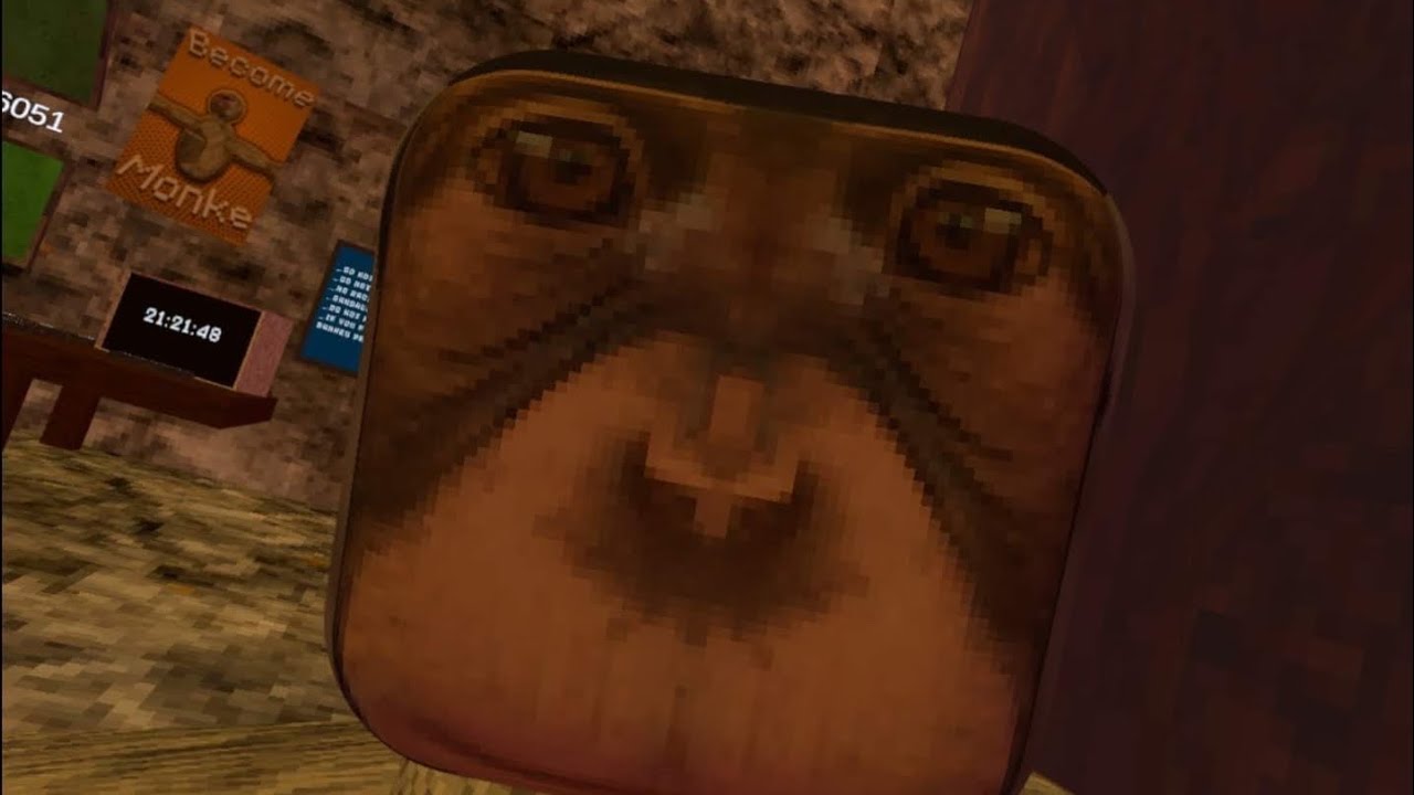 Monkeys place🗿🙉 - YouTube
