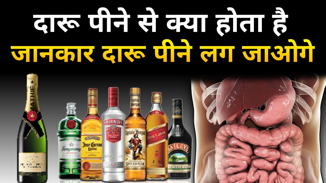 दारू पीने के फायदे | Daru peene se kya hota hai | Daru peene ke nuksan ...