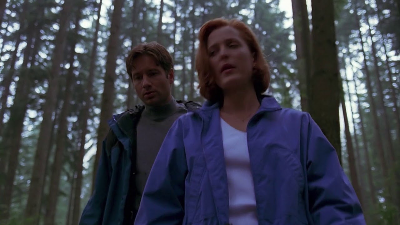 The X-Files Detour - The Cockroach That Ate Cincinnati - YouTube