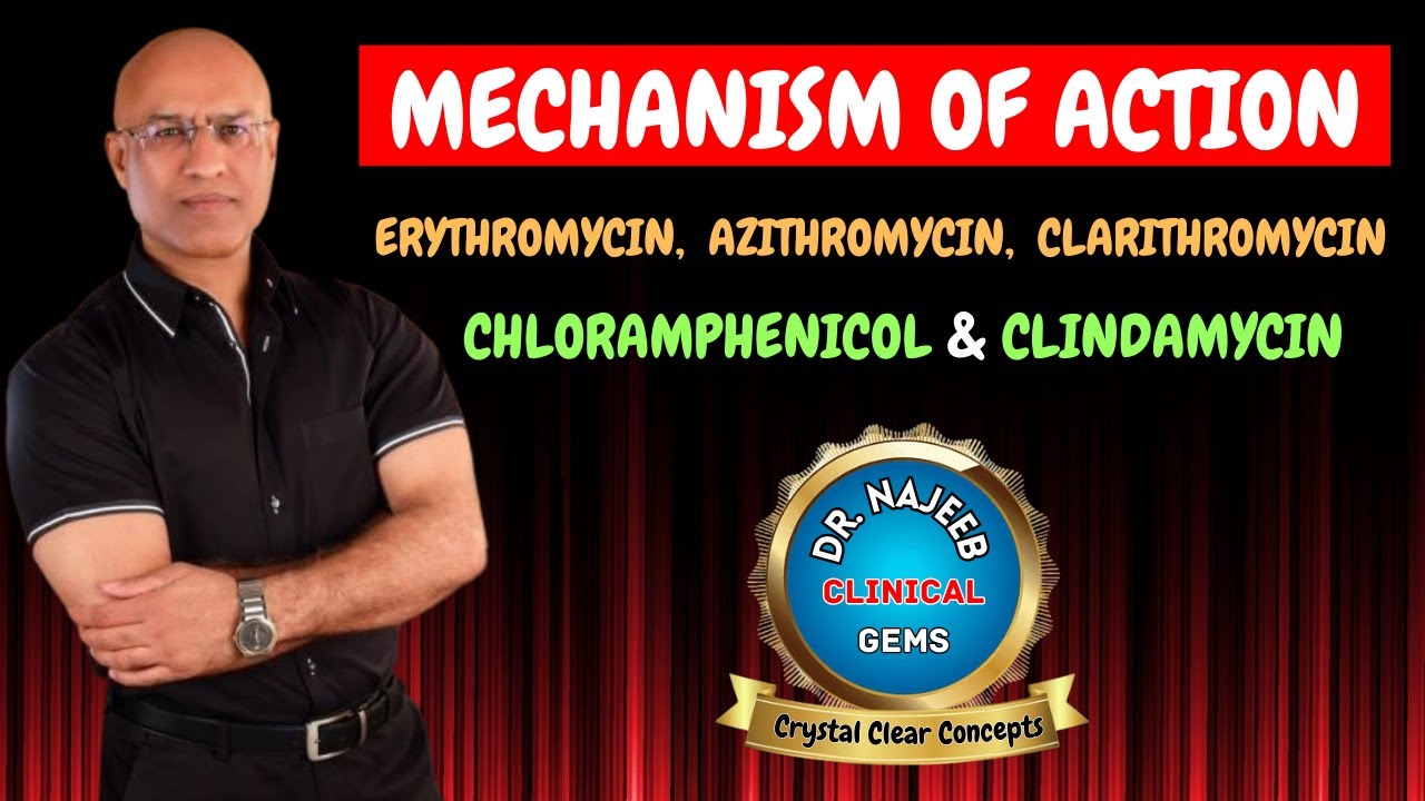 Moa Of Erythromycin Azithromycin Clarithromycin Chloramphenicol