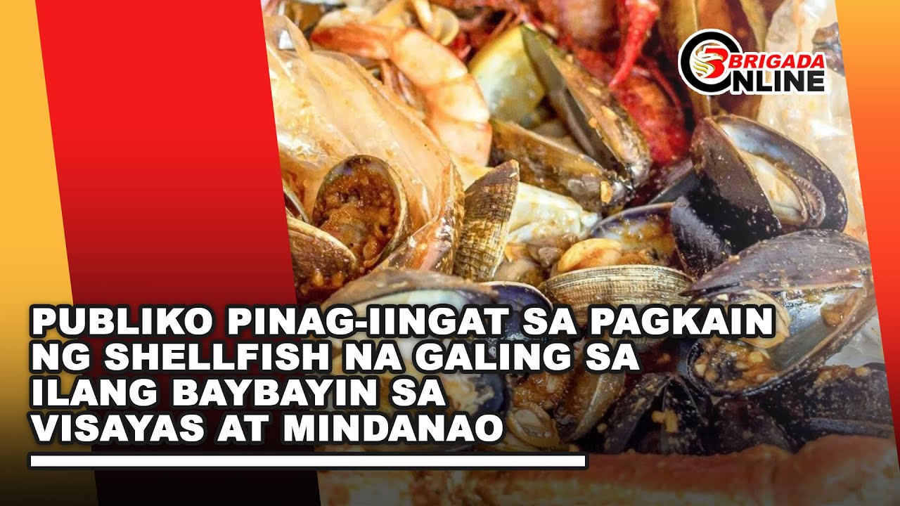 Publiko pinag iingat sa pagkain ng shellfish na galing sa ilang ...
