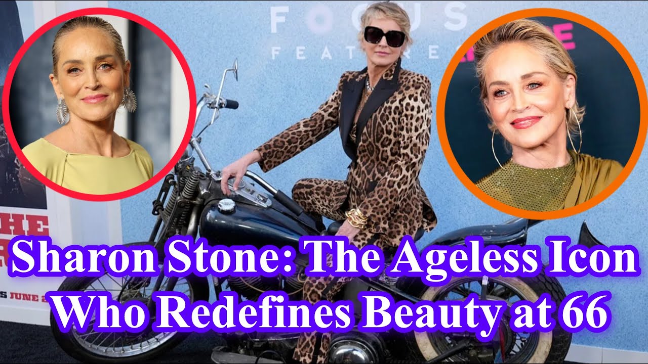 66 year old Sharon Stone provokes the envy of women of all ages with ...
