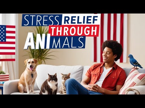 Amazing! How Animals Refresh Our Mind & Make Day Beautiful part2 - YouTube