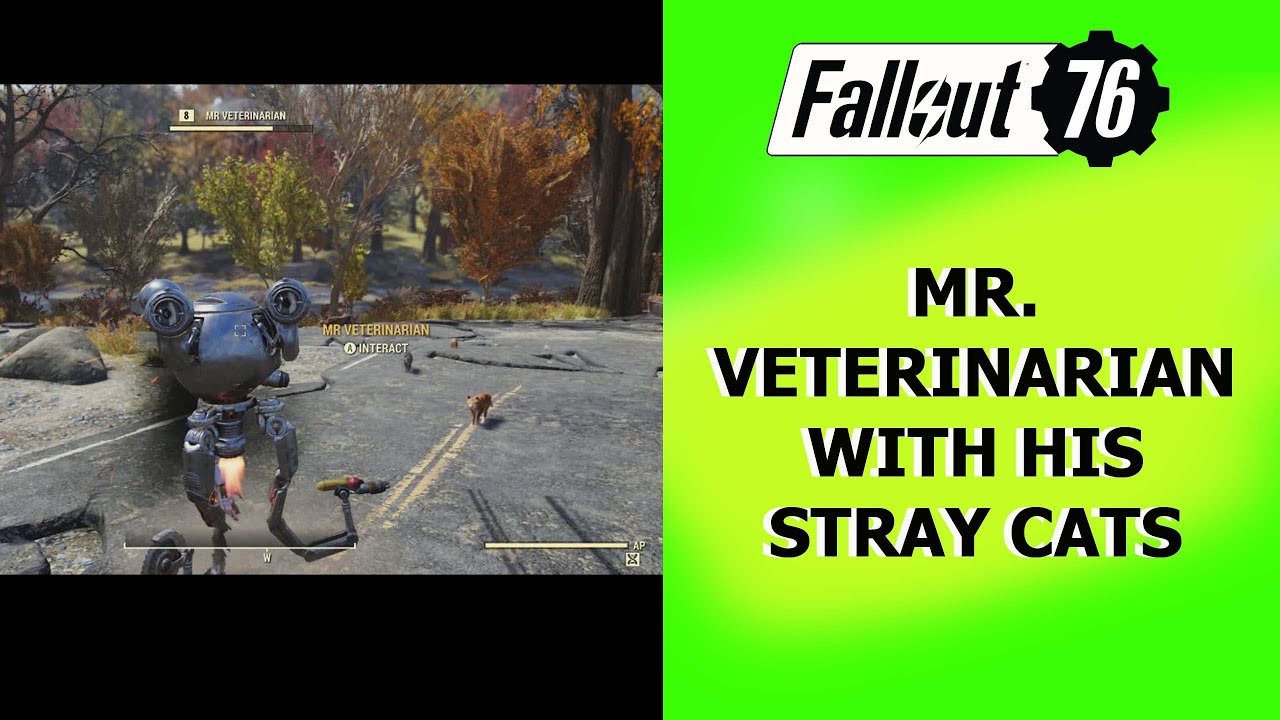 Fallout 76 I found Mr. Veterinarian and his stray cats. - YouTube
