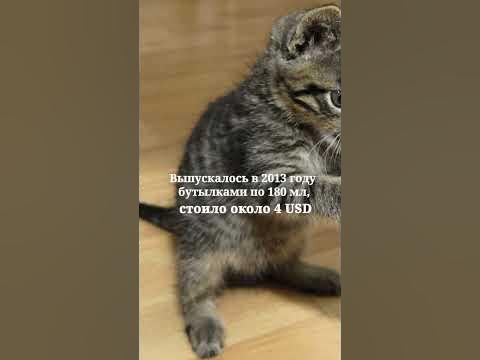 Вино для кошек - YouTube