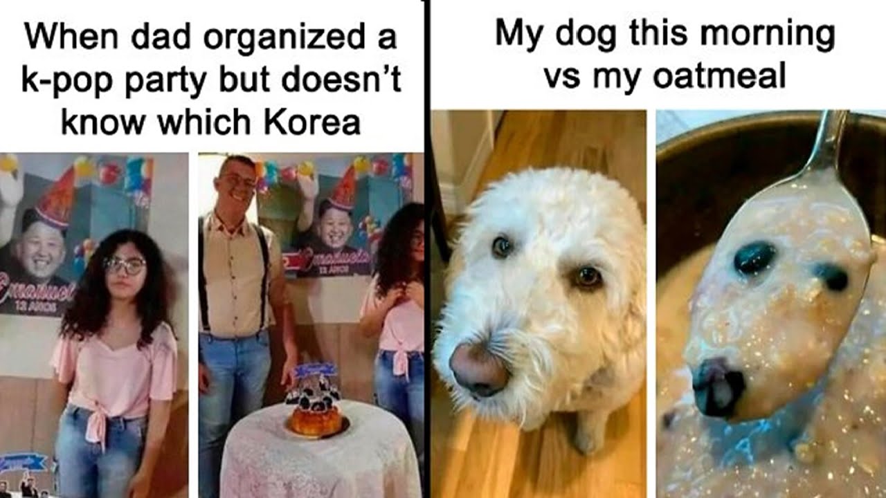 Hilarious Memes That Might Bring Some Sunshine To Your Day (NEW ...