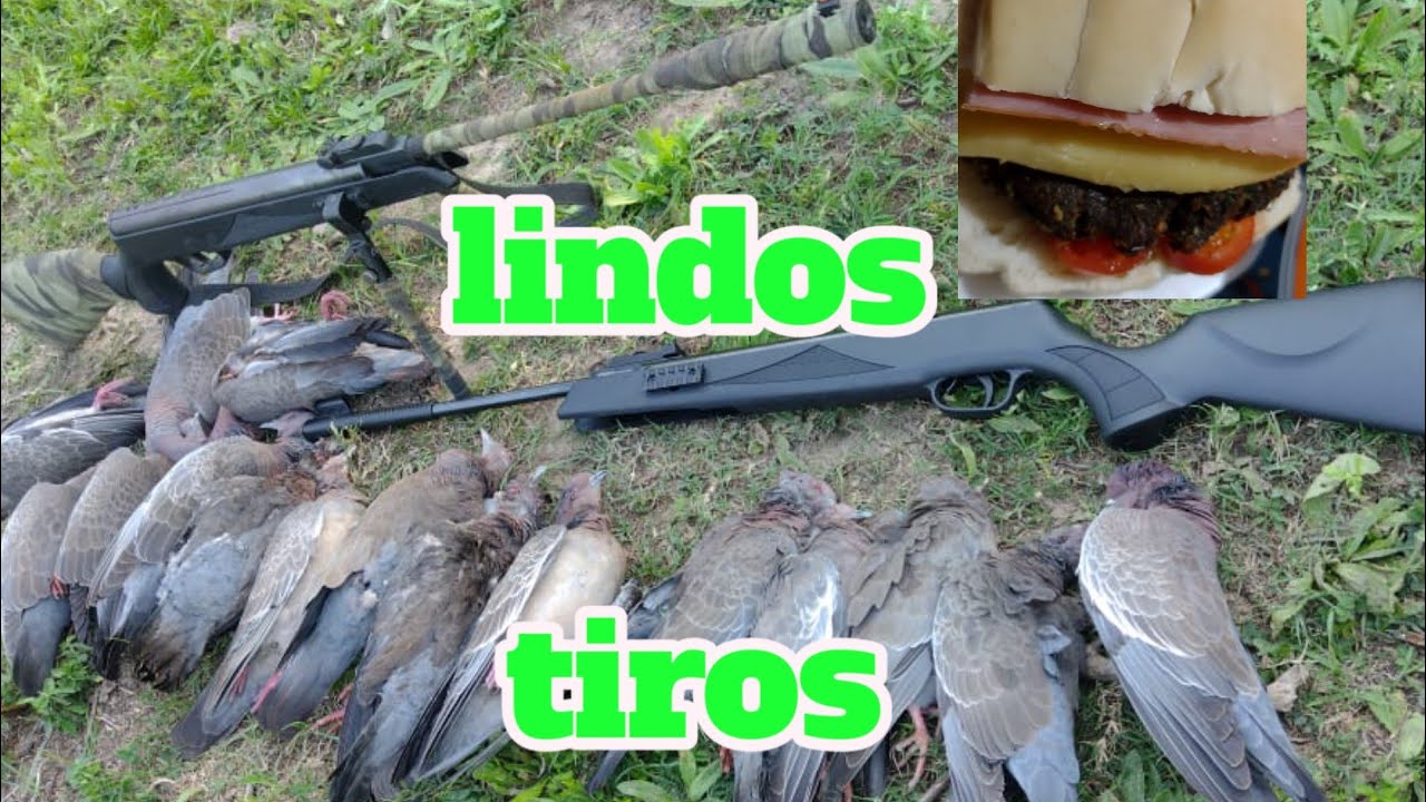 caza y cocina💪 cazando palomas con sr1000 y sr1500💥 no te lo pierdas # ...
