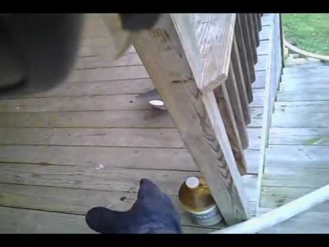 East Rockingham Fire Dept Structure Fire - YouTube