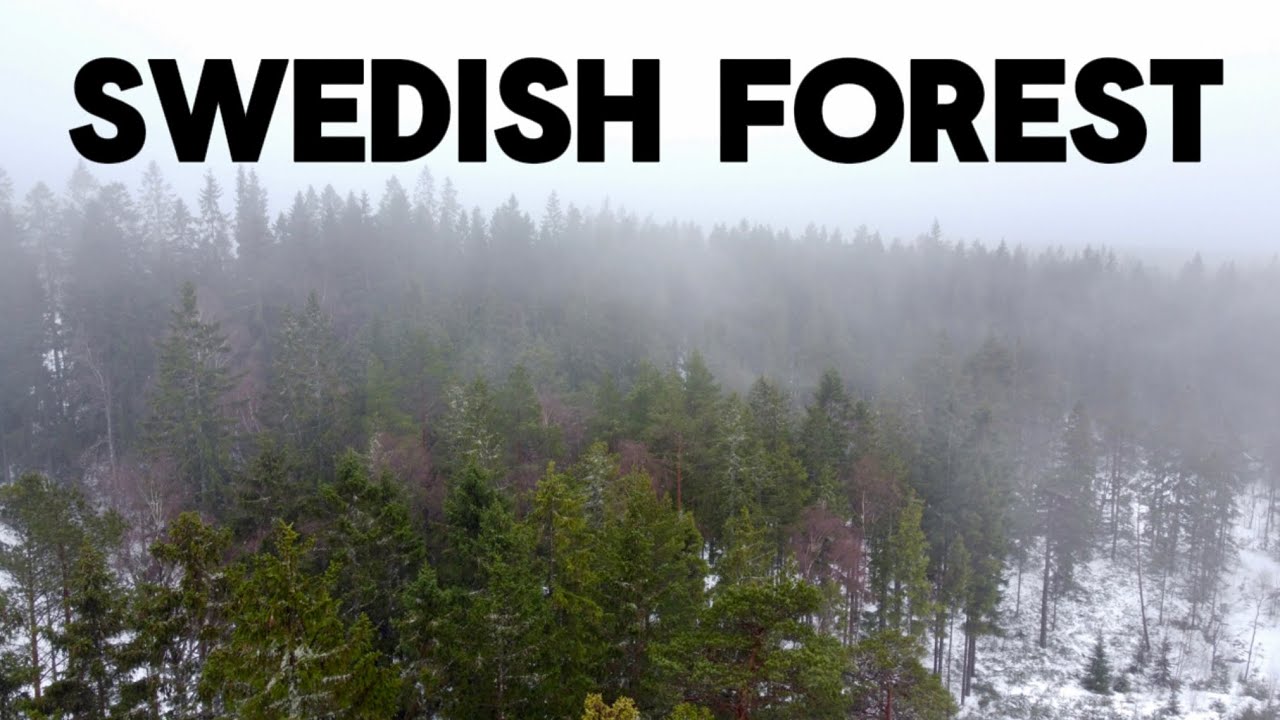 The Swedish Forest in Winter | Ulricehamn - YouTube