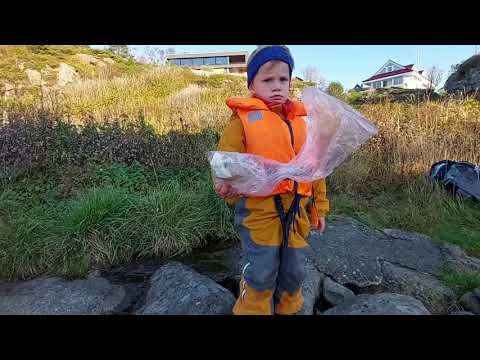 Hestnes FUS 10år - Plast i havet