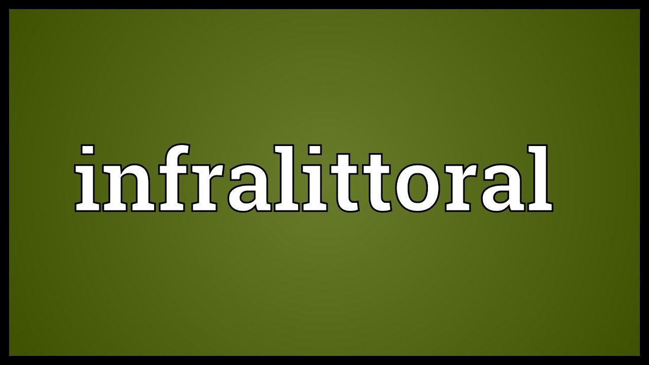 Infralittoral Meaning - YouTube
