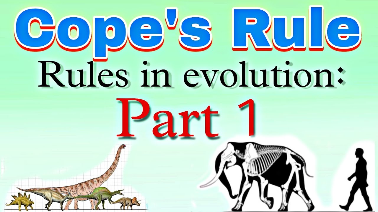 Cope's Rule (Rules in Evolution video 1) Explained by kamlesh sapiens - YouTube