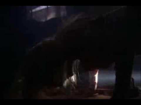 Grizzly Rage (Part 7/8) - YouTube