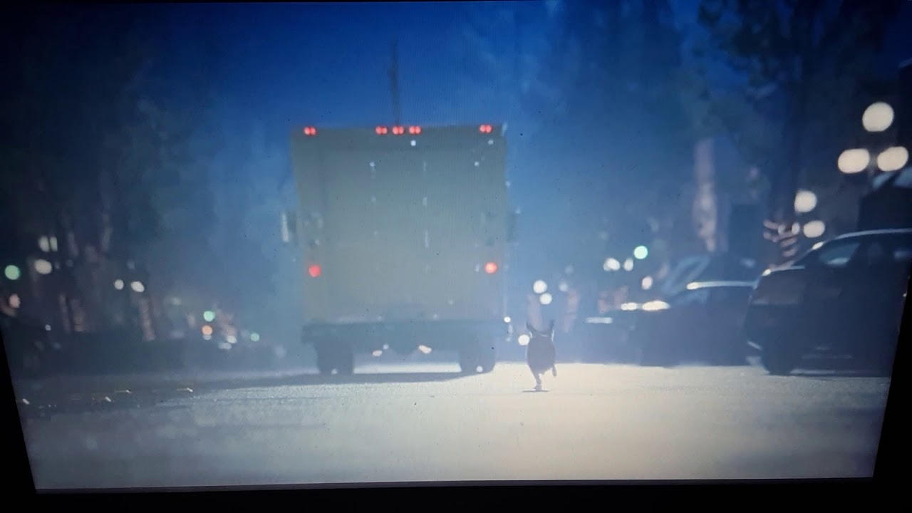 Odie runs away - YouTube