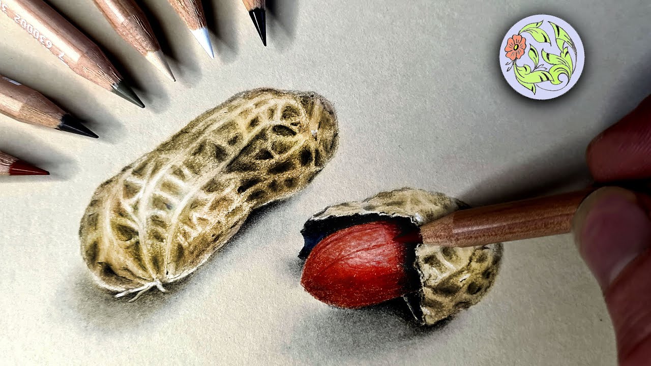 Peanut Drawing