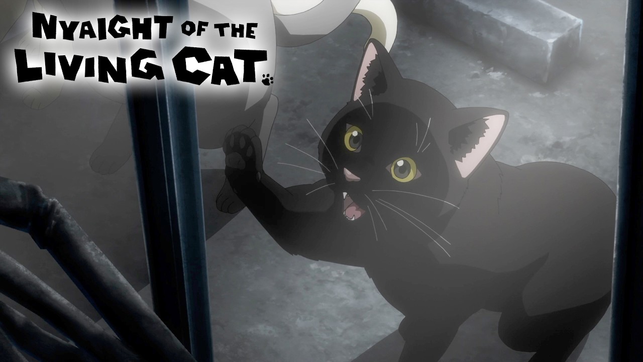 We Can Never Snuggle Cats AGAIN | Nyaight of the Living Cat - YouTube