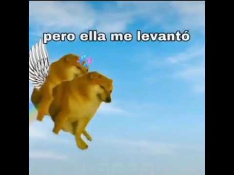 Otro video del chems - YouTube