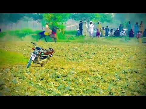 Best single footer mare maoj bahar sister of Noor jahan babar shair ...