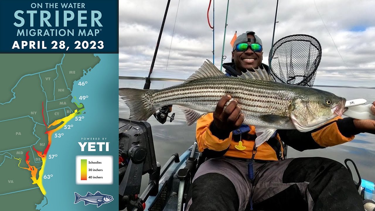 Striper Migration Report | April 28, 2023 - YouTube