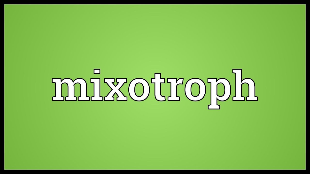 Mixotroph Meaning - YouTube