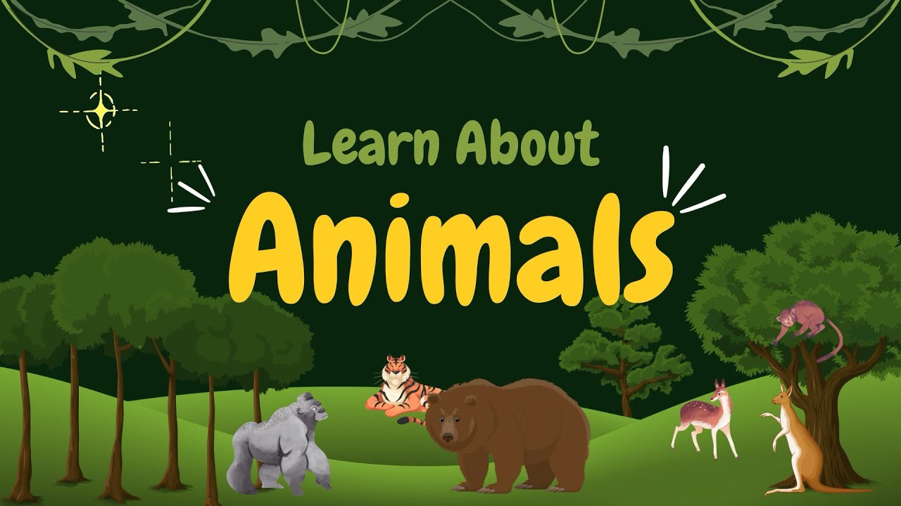 LEARN ABOUT ANIMALS| FARM ANIMALS| SEA ANIMALS | ZOO ANIMALS | TEACHER ...