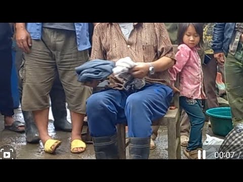 xov xwm : Nom tswb Yang zos cửa rừng _co mạ tsev kub nyhiab - YouTube