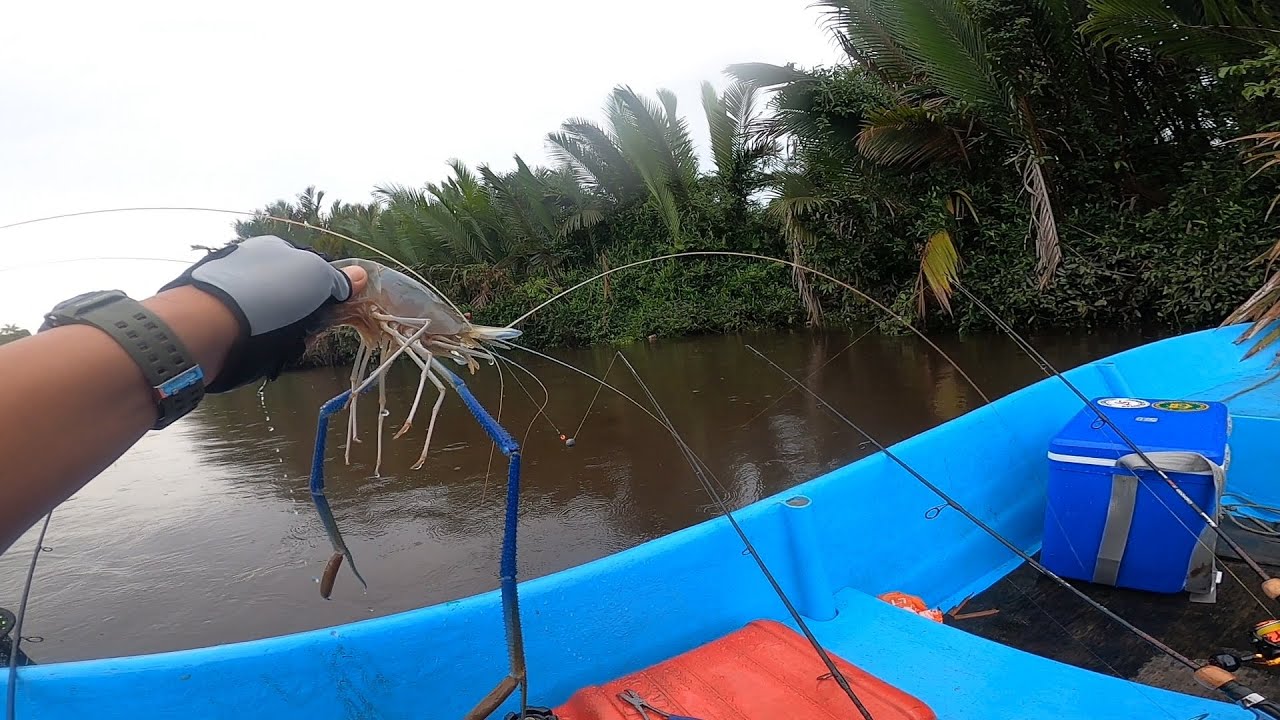 part 2-Fishing Addiction - YouTube