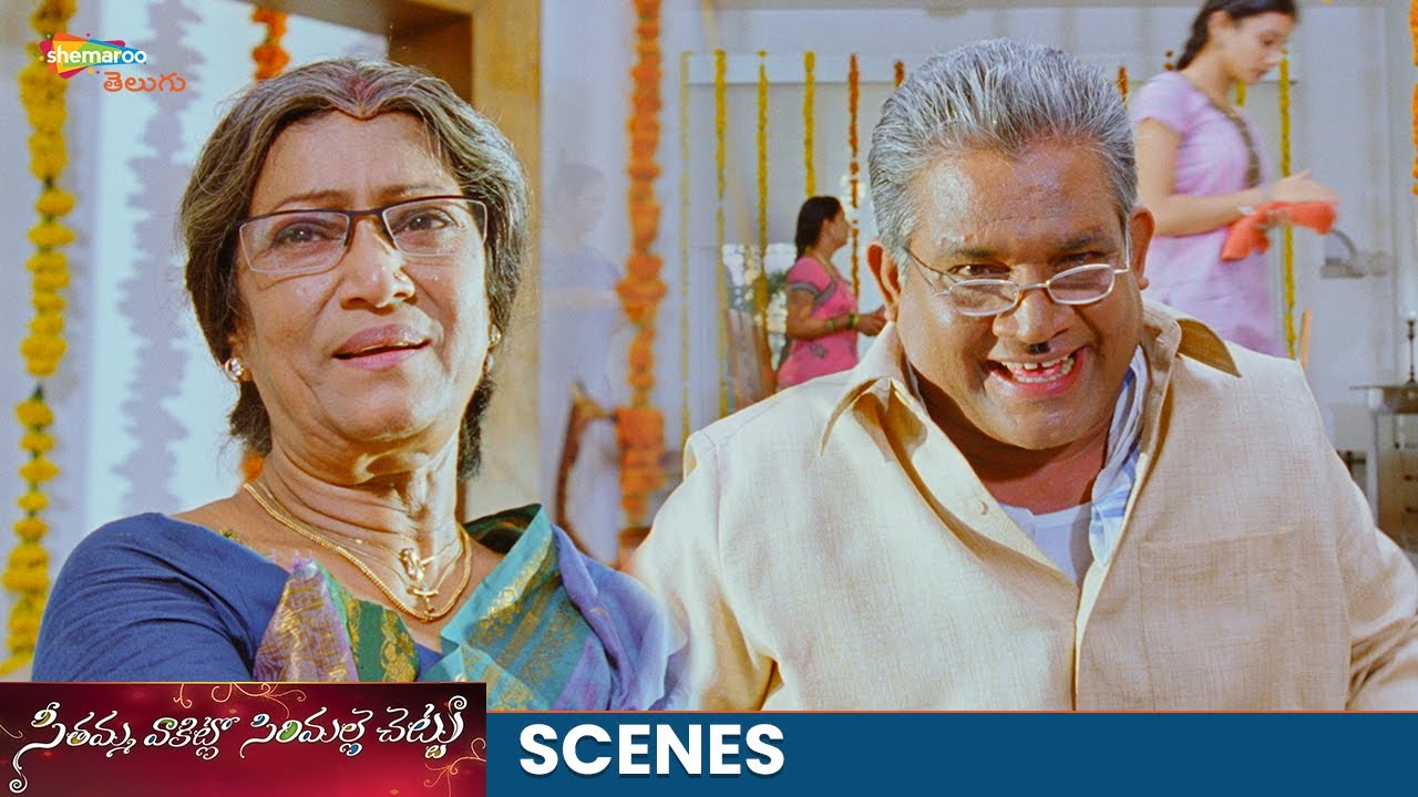 Rama Prabha And Tanikella Bharani Best Scene | Seethamma Vakitlo ...