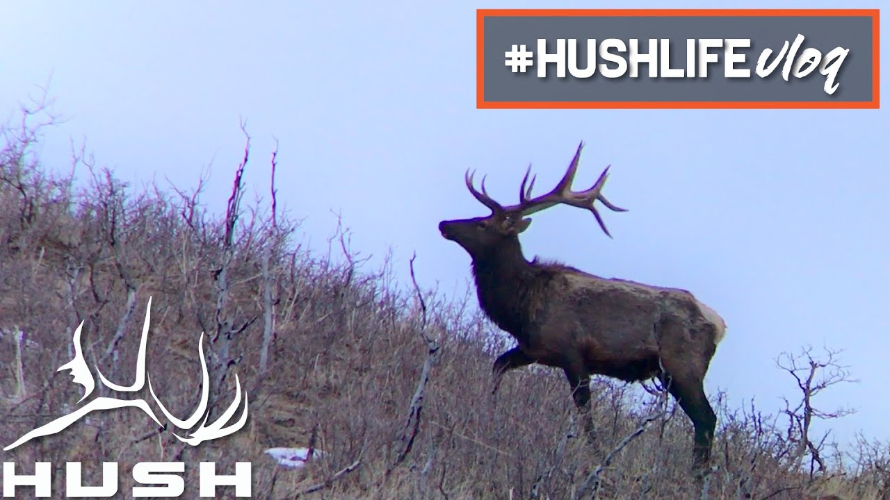 HUNTING SEASON IS HERE WHAT'S OUR PREDICTIONS? | HUSHLIFE VLOG S2EP27 ...