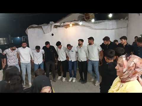Muş Bulanık Sarıpınar Düğünleri Şewko Grup Behin Sevim Yılmaz'ın Düğünü