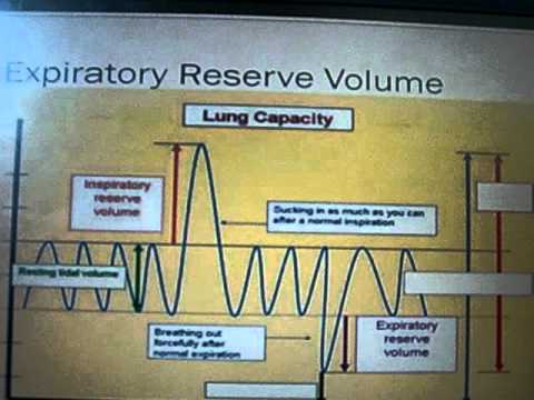 Lung Capacity Spirogram - YouTube