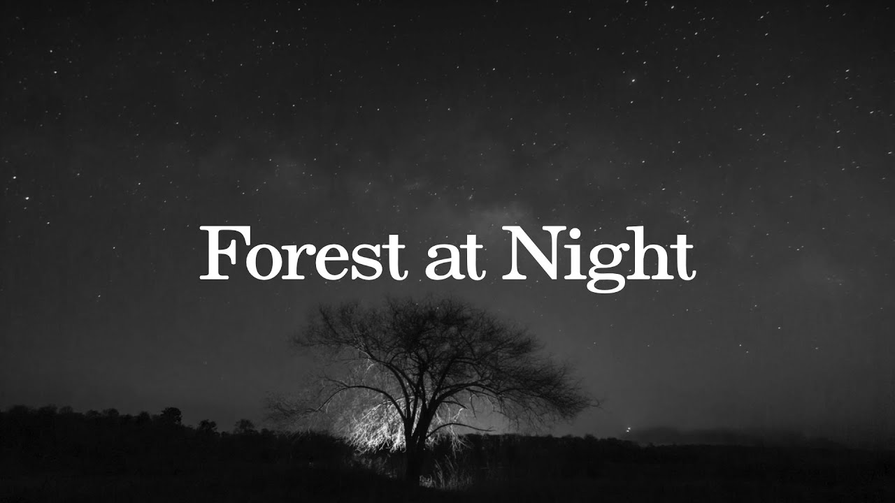Forest at Night (Dark Screen) | Relax, Calm, Study, Meditation - YouTube