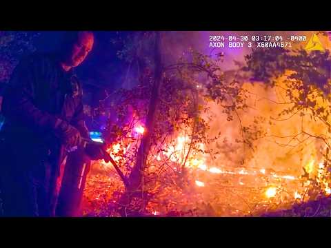 Serial Arsonist Lights 12 Fires in the Woods