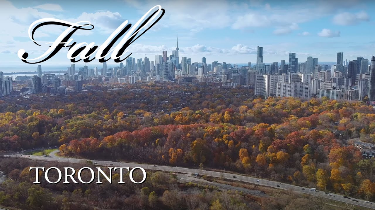 Toronto Fall | DJI Mini Drone | Canadian City Downtown Skyscrapers ...