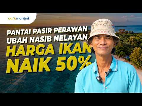 Harga Ikan Naik 50% Gara-Gara Pantai Ini, Kisah Nelayan Pulau Pari Kepulauan Seribu!